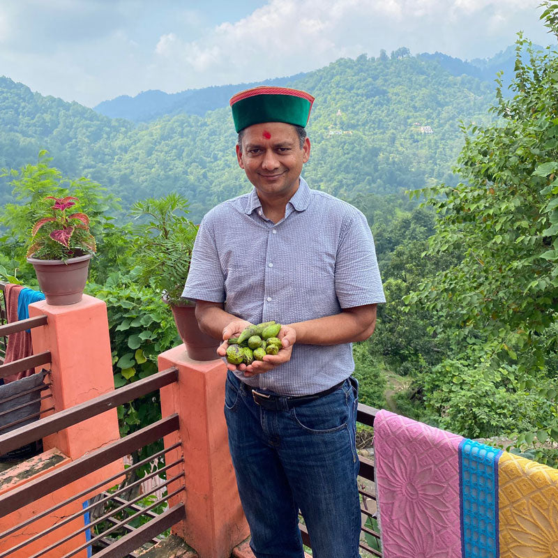 Ayurvedic Jaggery (Infused with Spices & Herbs) - Limited Edition